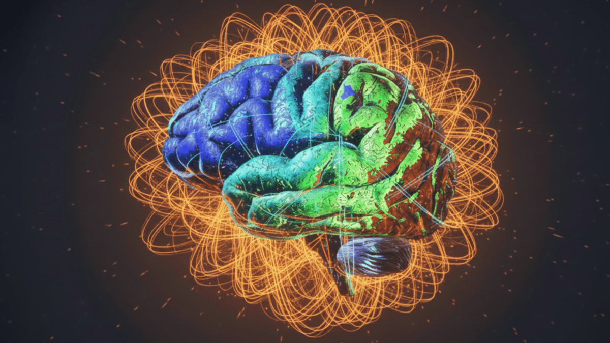 The Science Behind Digital Brain Rot (and How to Fix It) - Freedom Matters